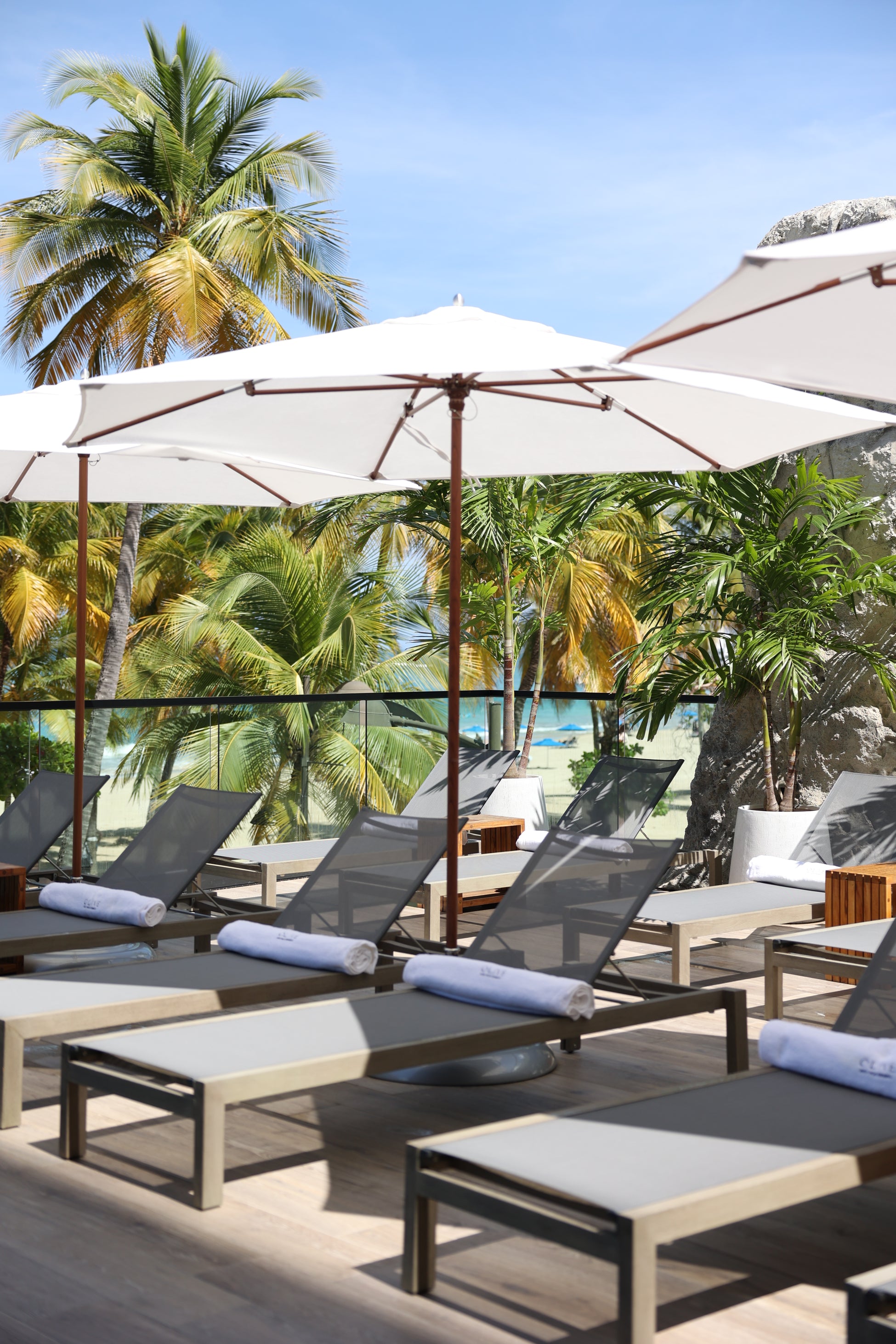 The O:live Experience